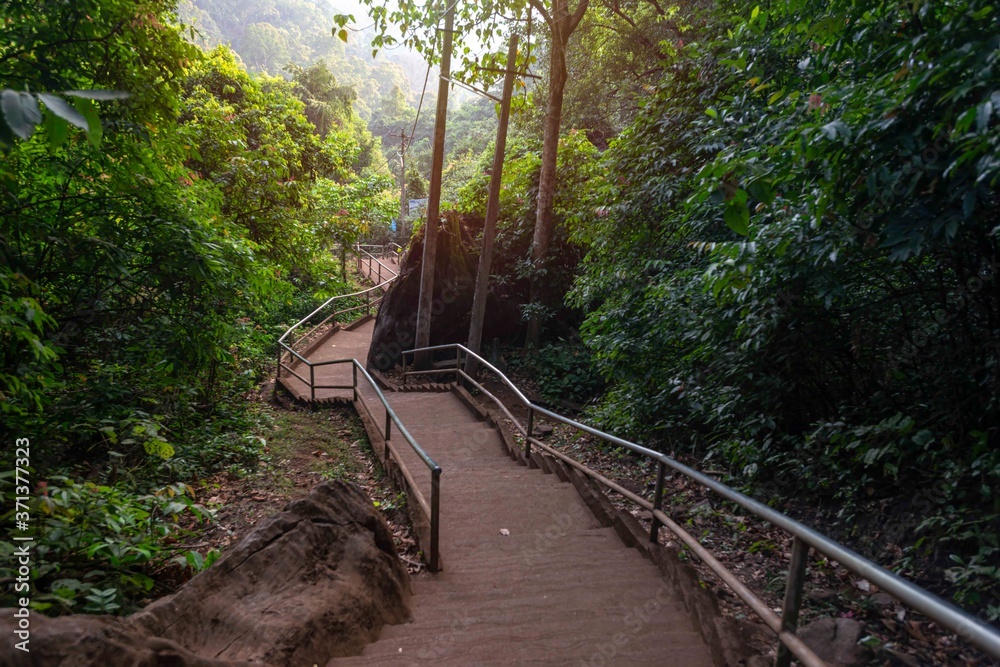 magical trails through a mountain forest in a tourist place Yana Rocks ...