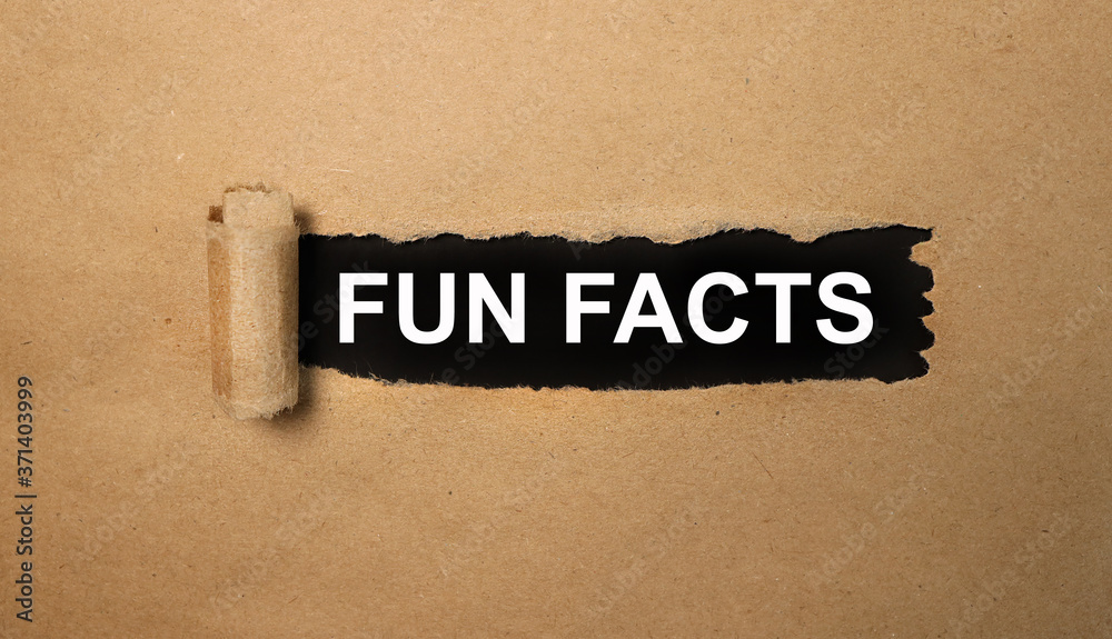 fun facts. text on black paper on torn paper Stock Photo | Adobe Stock