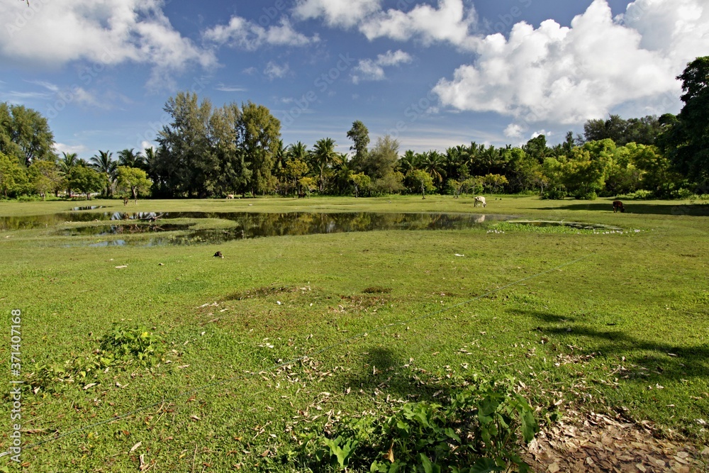 Landscape view of Neil island. Andaman and Nicobar Islands. India. Asia ...