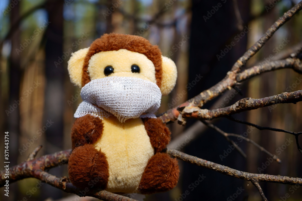 małpka ,maskotka , pandemia Stock Photo | Adobe Stock