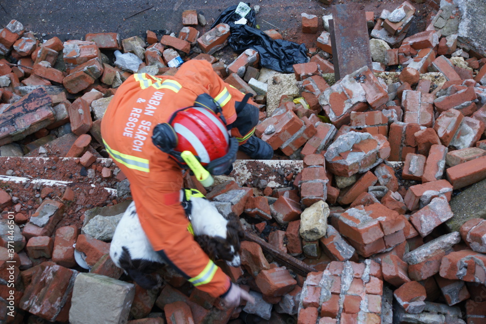 Building collapses, urban search and rescue, disaster zone Stock Photo ...