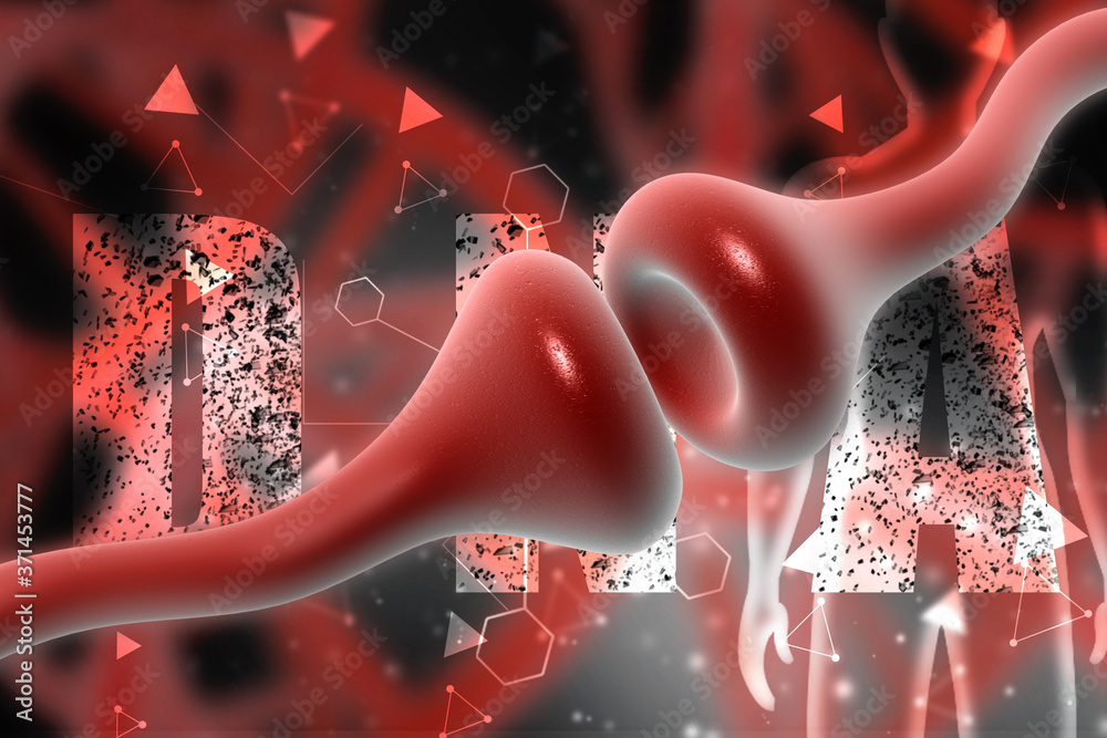 Synapse and Neuron cells sending electrical chemical signals. 3d rendering Stock Illustration ...
