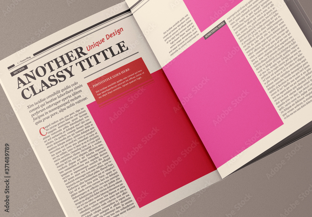 Rolling Rocks Magazine Layout Stock Template | Adobe Stock