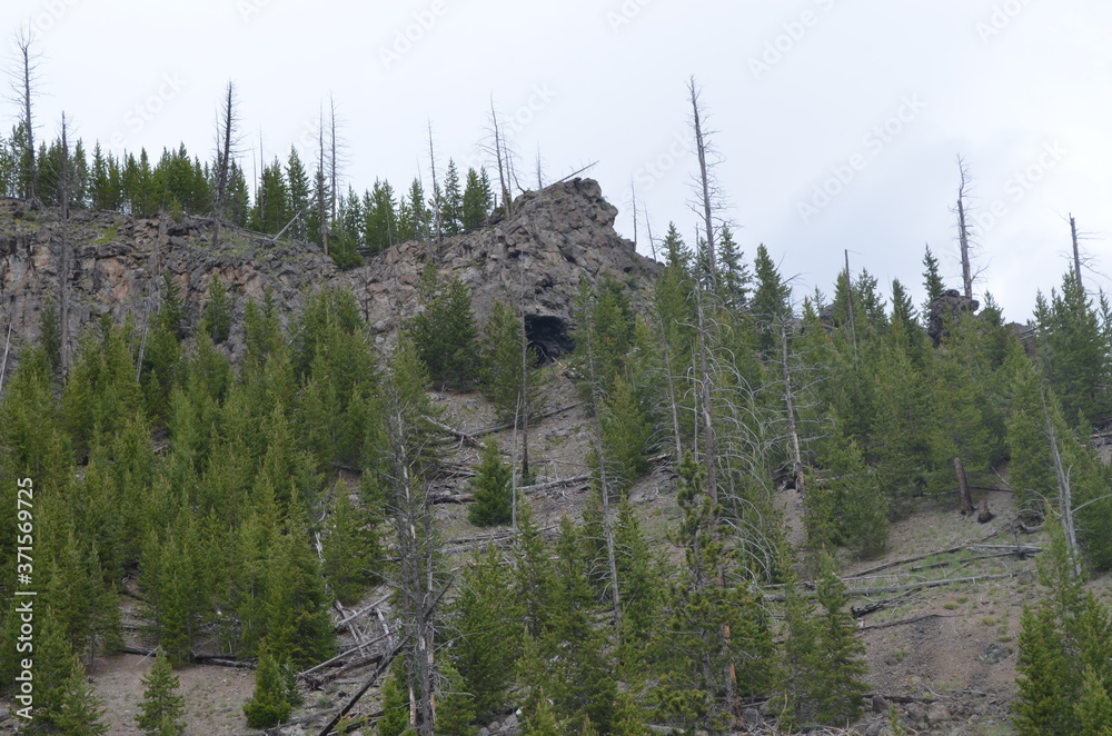 Late Spring in Yellowstone National Park: Hillside Cave High Above ...