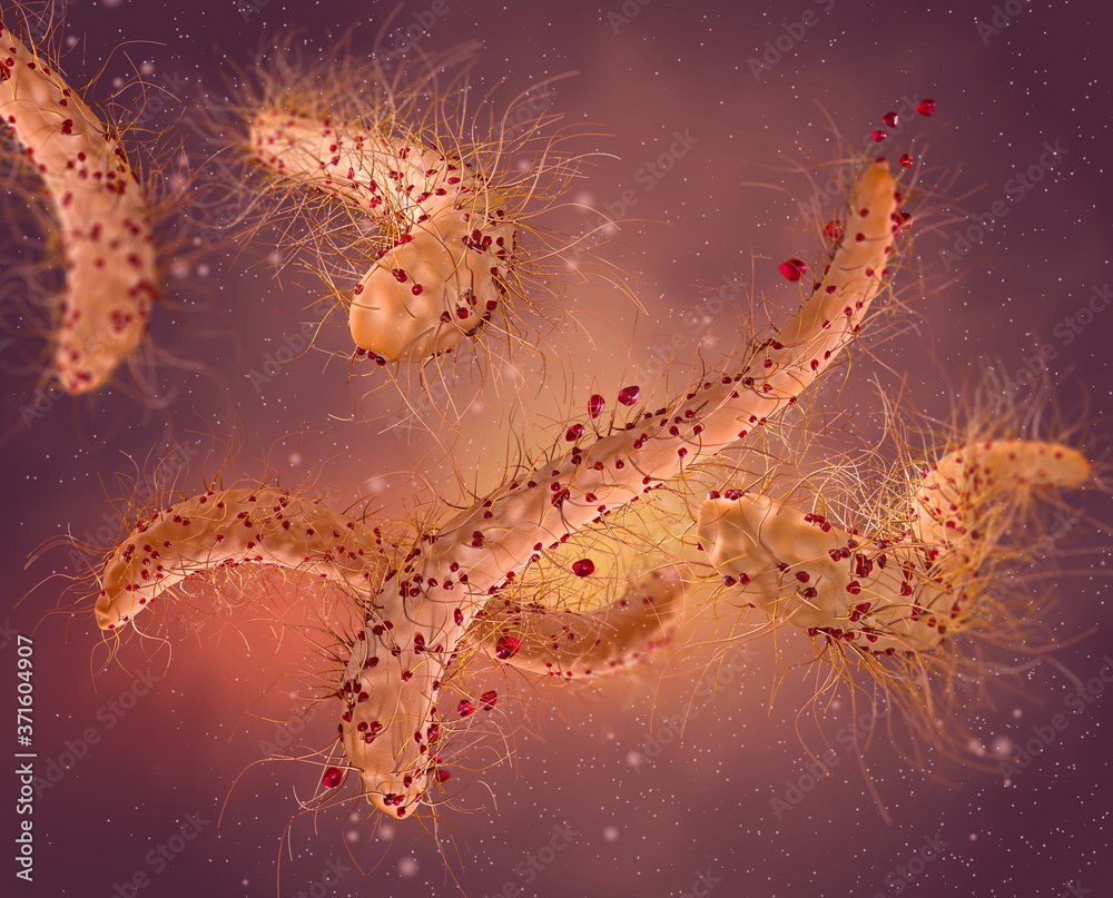 Dangerous pathogenic bacteria Escherichia coli, colibacillus, pathogen ...