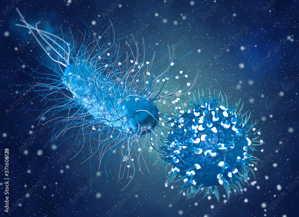 Dangerous pathogenic bacteria Escherichia coli, colibacillus, pathogen ...
