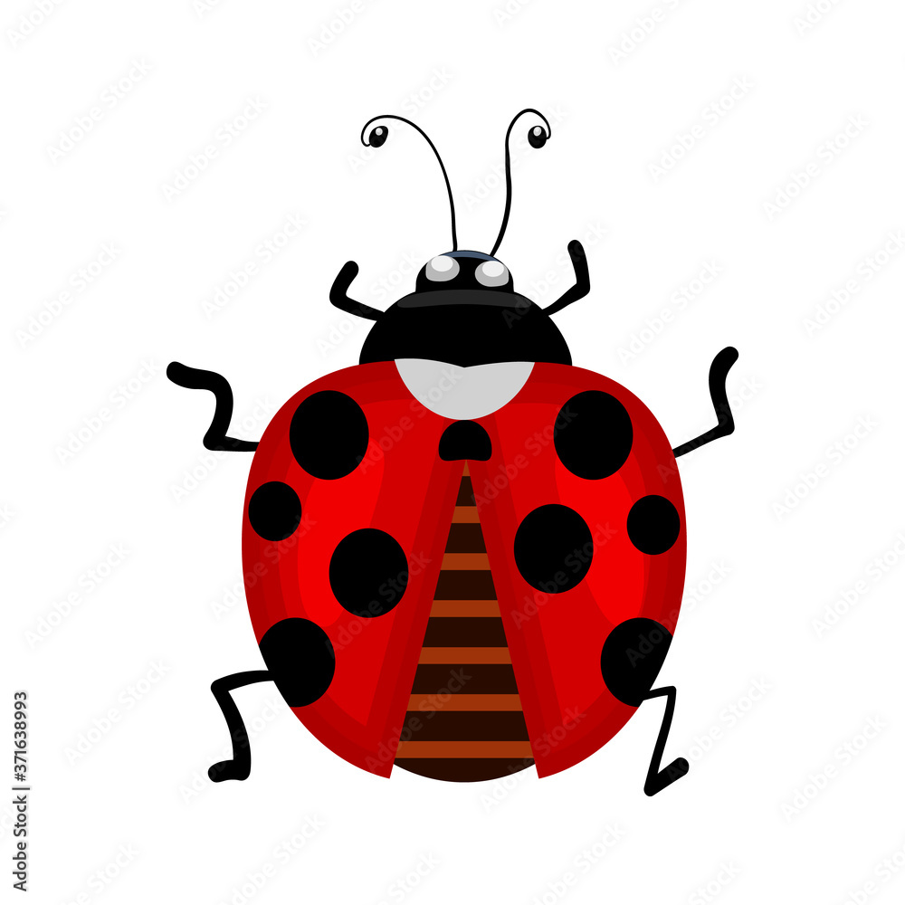 Ladybird isolated on white background. Ladybug small icon. Red lady bug ...