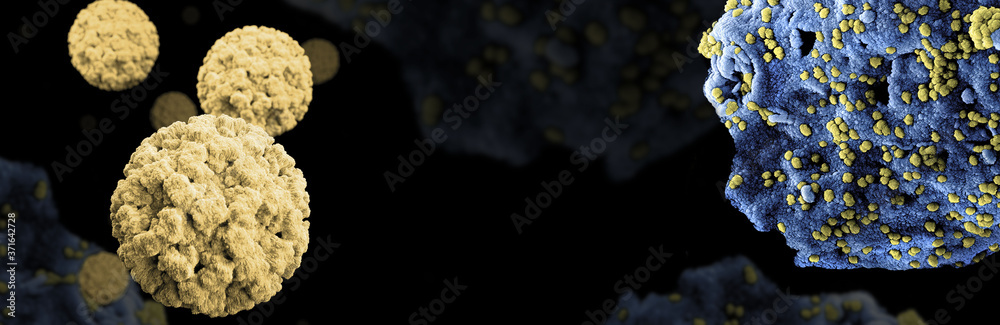 A simulation view of the virus cells attacking human body cells view ...