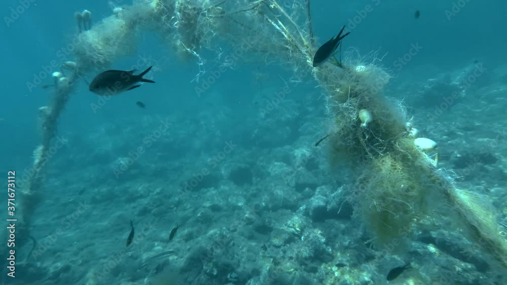 Lost fishing net with buoys lies underwater on the seabed. Problem of ...