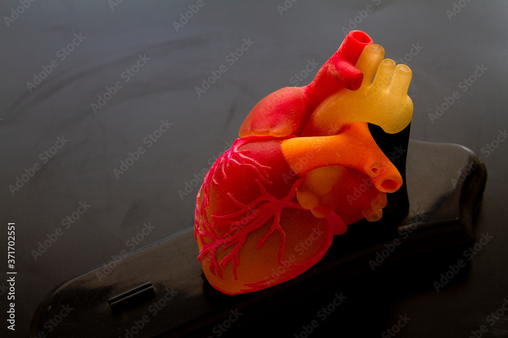 3D printed human heart close up. 3d printing Technology. Stock Photo ...