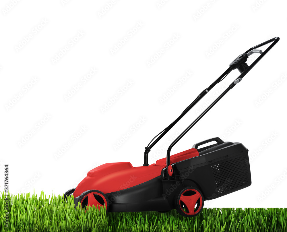 Modern garden lawn mower cutting green grass, white background Stock ...