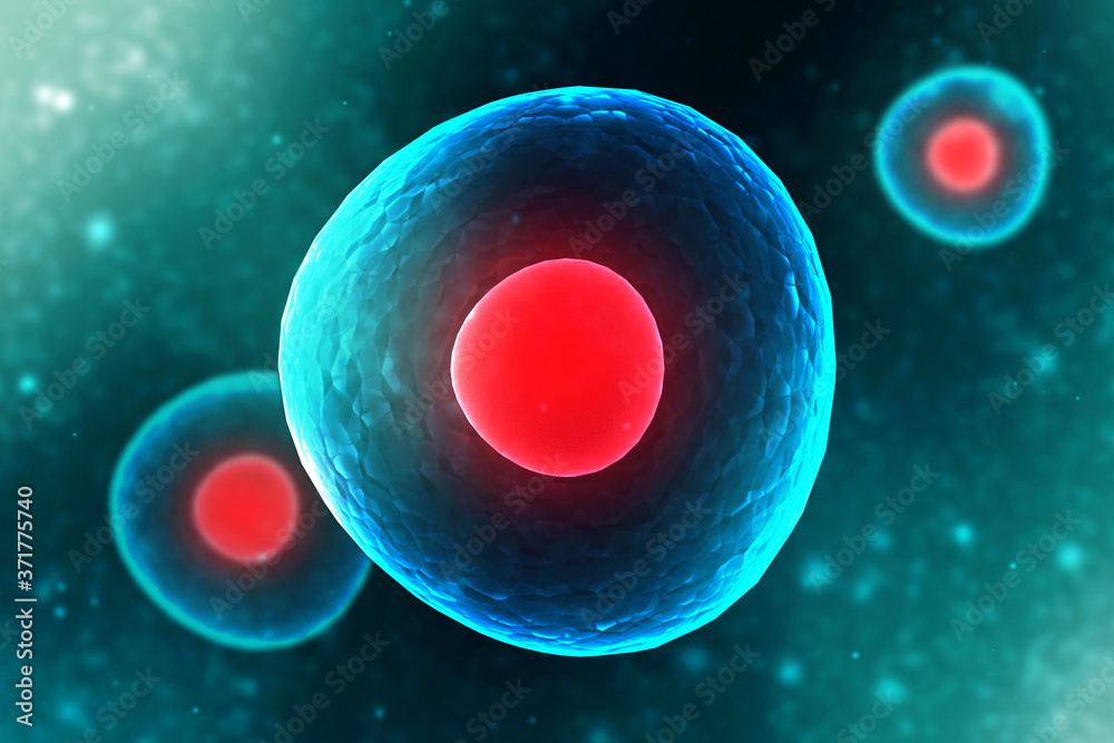 Cell. 3D rendering. Cells under microscope Stock Illustration | Adobe Stock