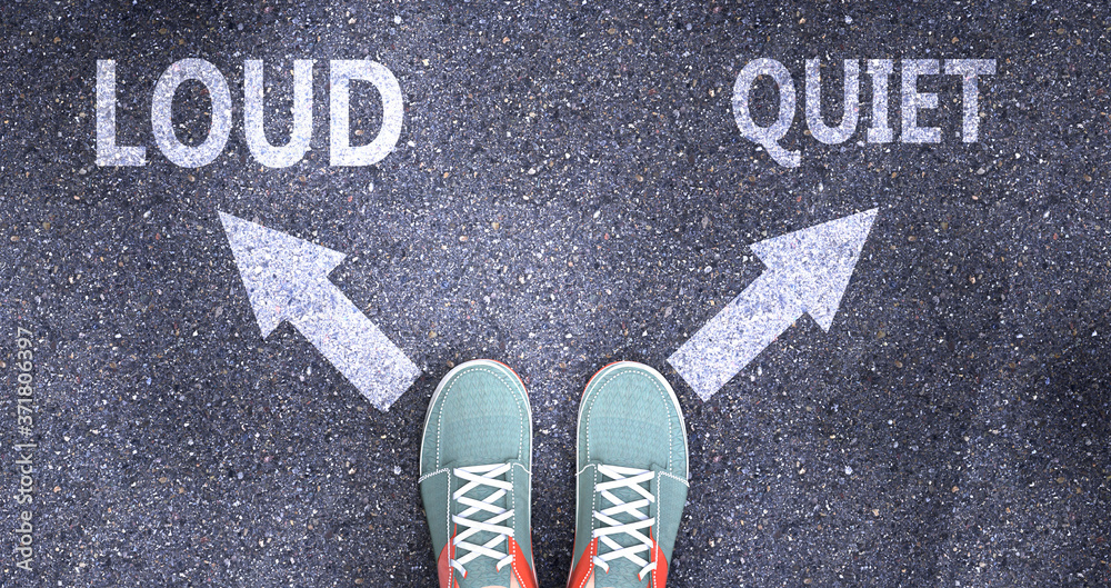 Loud and quiet as different choices in life - pictured as words Loud ...