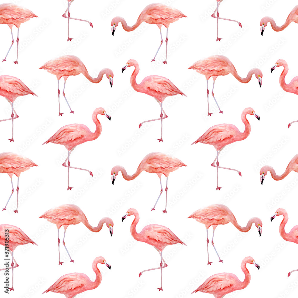 Seamless pattern of pink flamingo. Tropical exotic bird rose flamingos ...