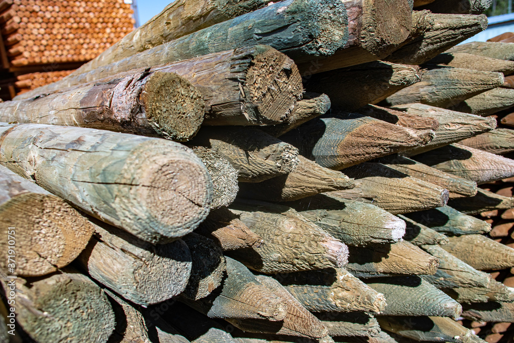 Poster stack of reclaimed pointed fence posts – Wall Art | UkPosters