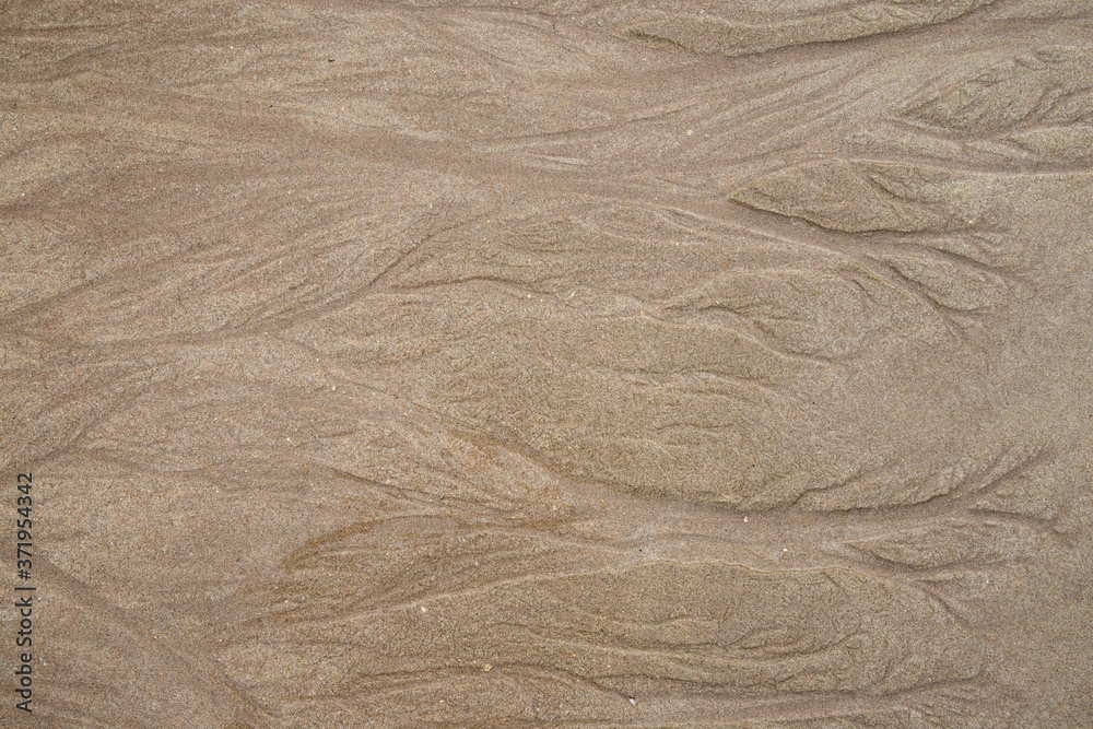 Wet Sand Texture