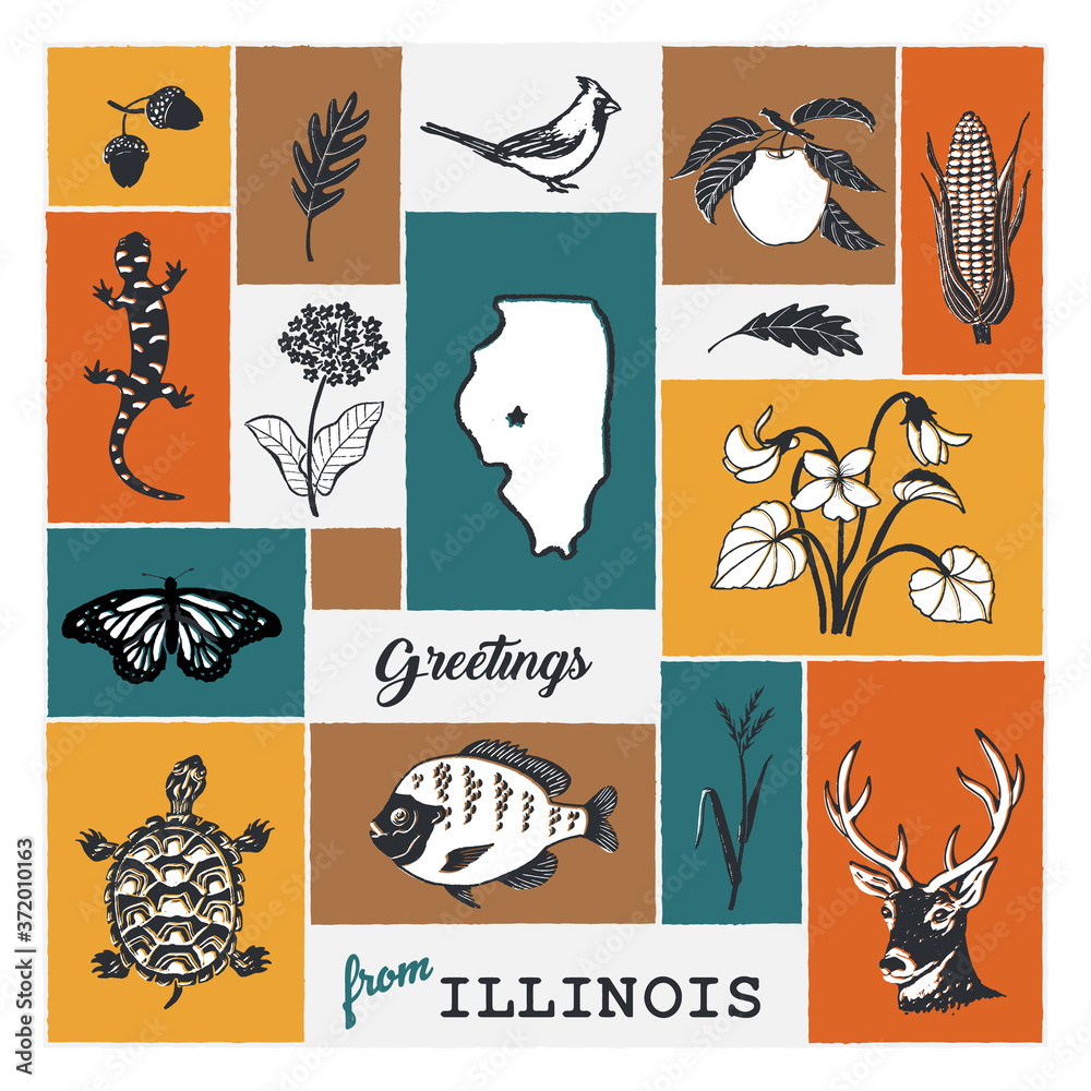 Plants, animals, birds, map, insects and fish- symbols of Illinois ...
