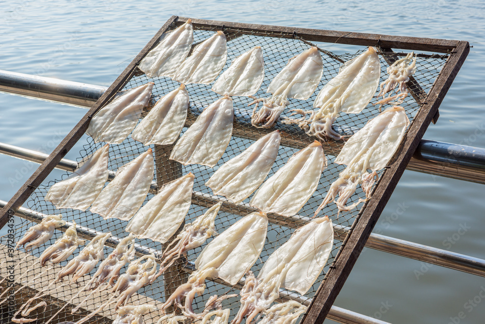 Traditional food preservation of the raw squid with dried out by ...