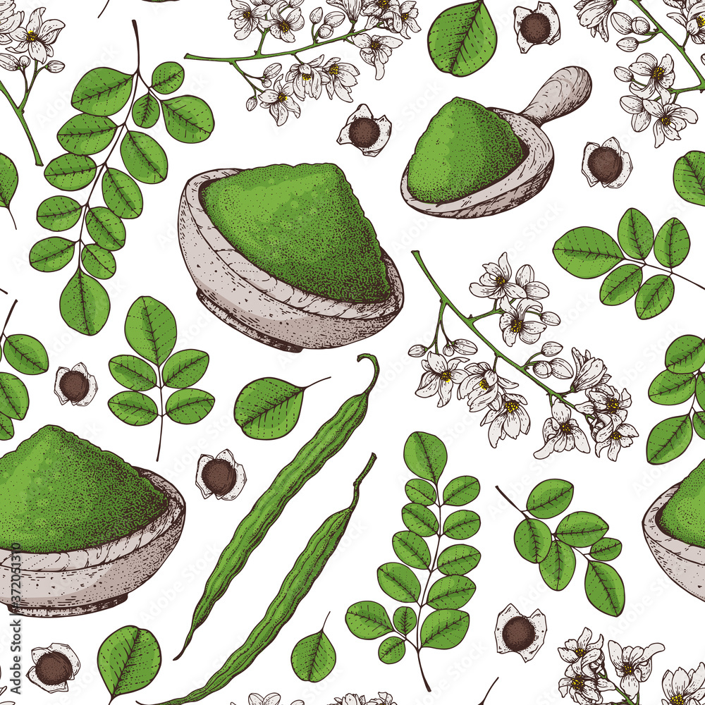 Moringa seamless pattern. Hand drawn background. Organic healthy food. Moringa leaves, plant ...