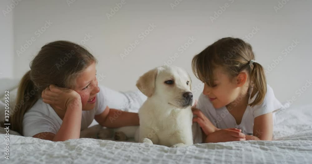 Authentic shot of two cute little girls are cuddling their pedigree ...