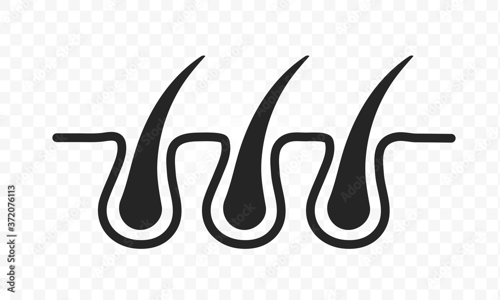 Hair follicle growth line icon. Laser depilation and care of human skin ...
