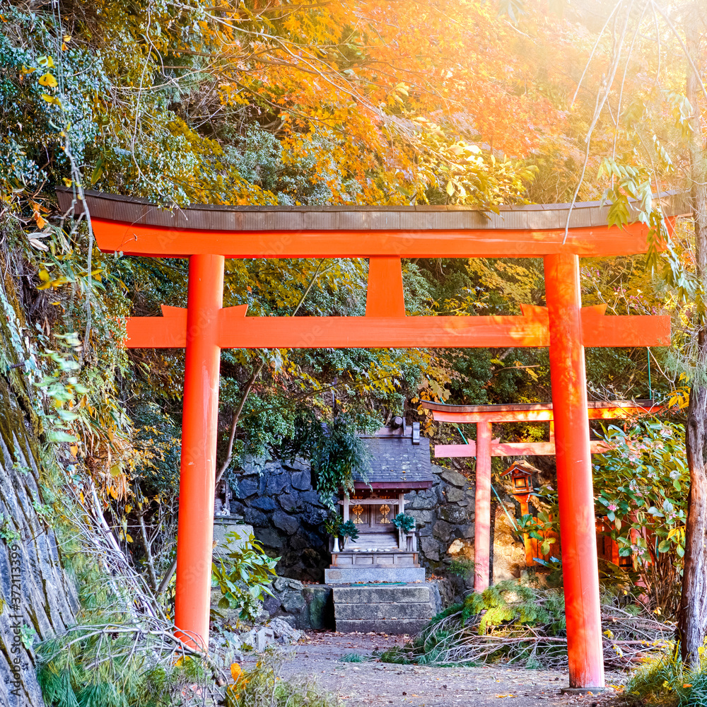 Japan Travel Destnations. Traditional Red Torii Gates with Walkway To ...