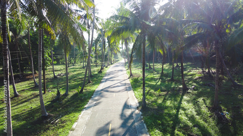 Coconut trees and the sky. Relaxing at the sea. Coconut trees and the ...
