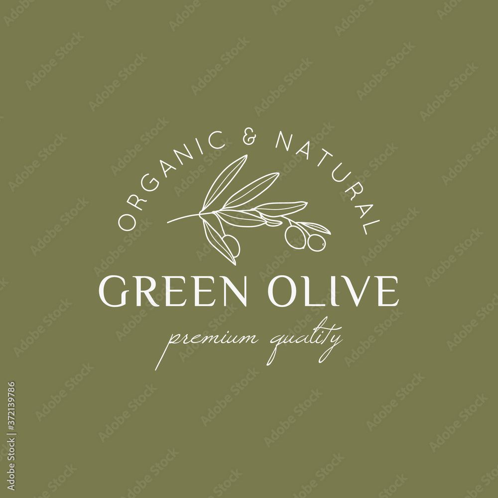 Olive leaf and Fruit logo design template in simple minimal linear ...