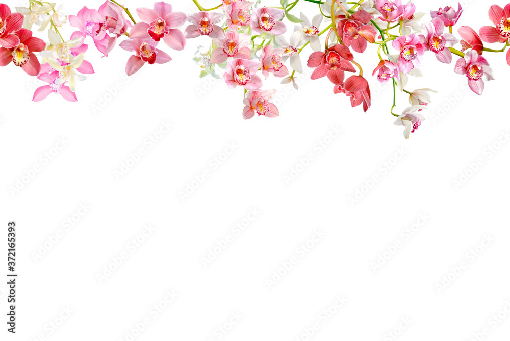 Horizontal seamless flower border isolated on white Stock Photo | Adobe ...