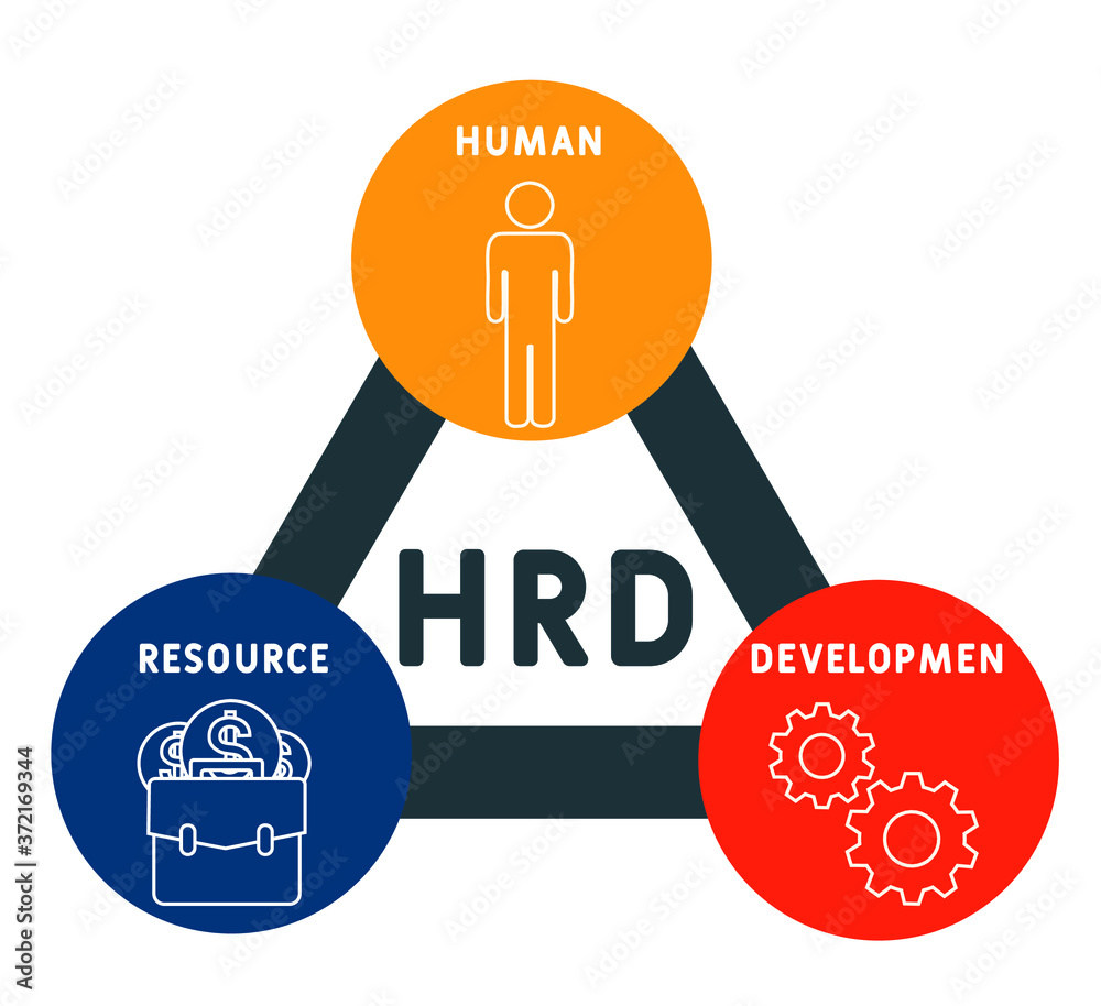 HRD - human resource developmen. acronym business concept. vector ...