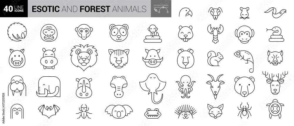 Wild Animals Icons Pack. Thin line creature icons set. Flaticon ...