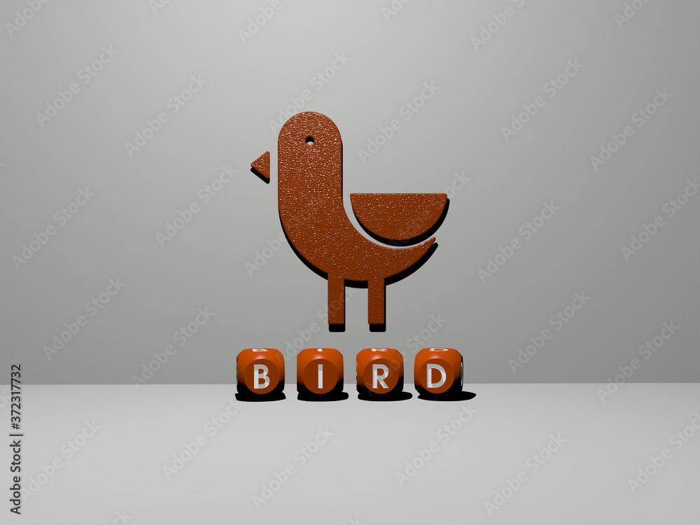 3D illustration of BIRD graphics and text made by metallic dice letters ...