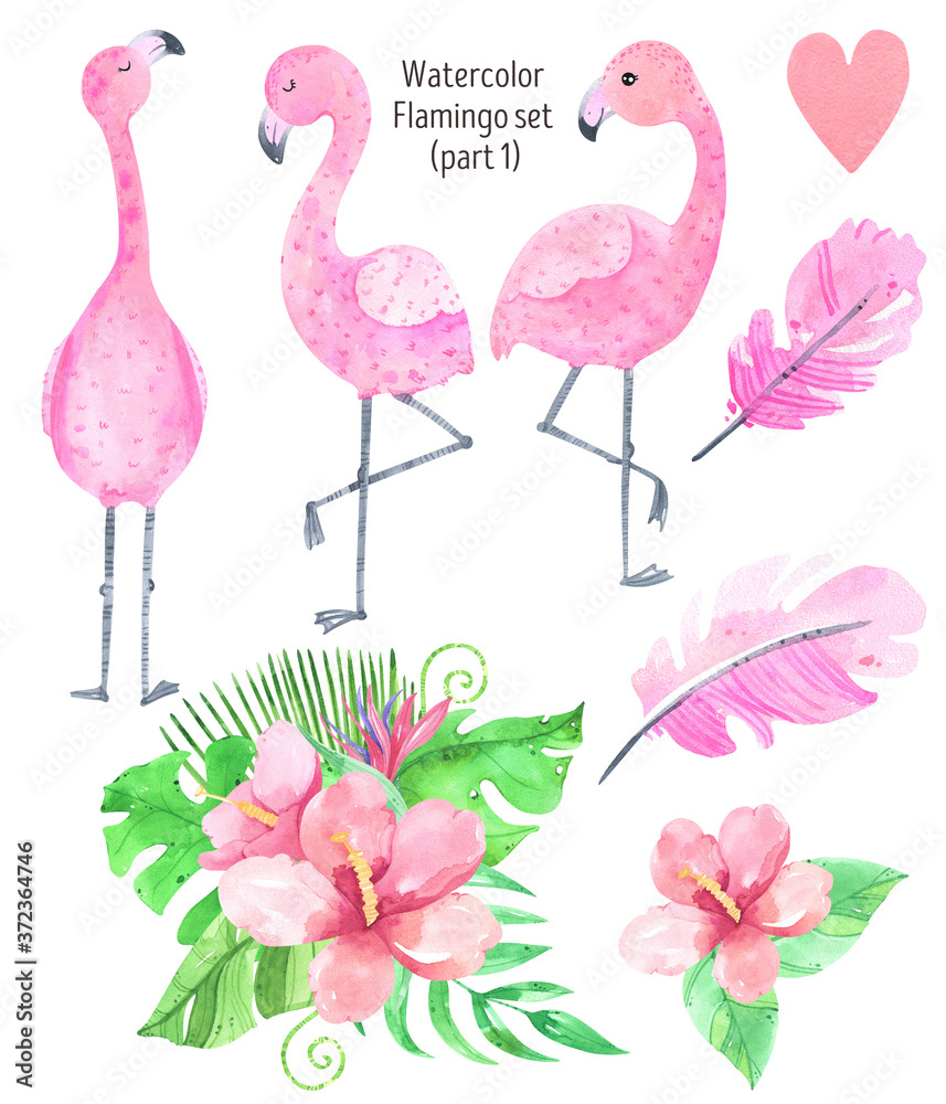 Flamingo watercolor tropical pink flamingo clipart and exotic bird with ...