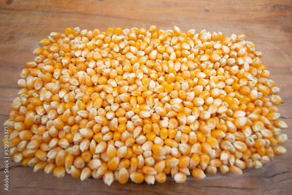 corn to make popcorn, a lot of corn to make popcorn, lots of popcorn ...