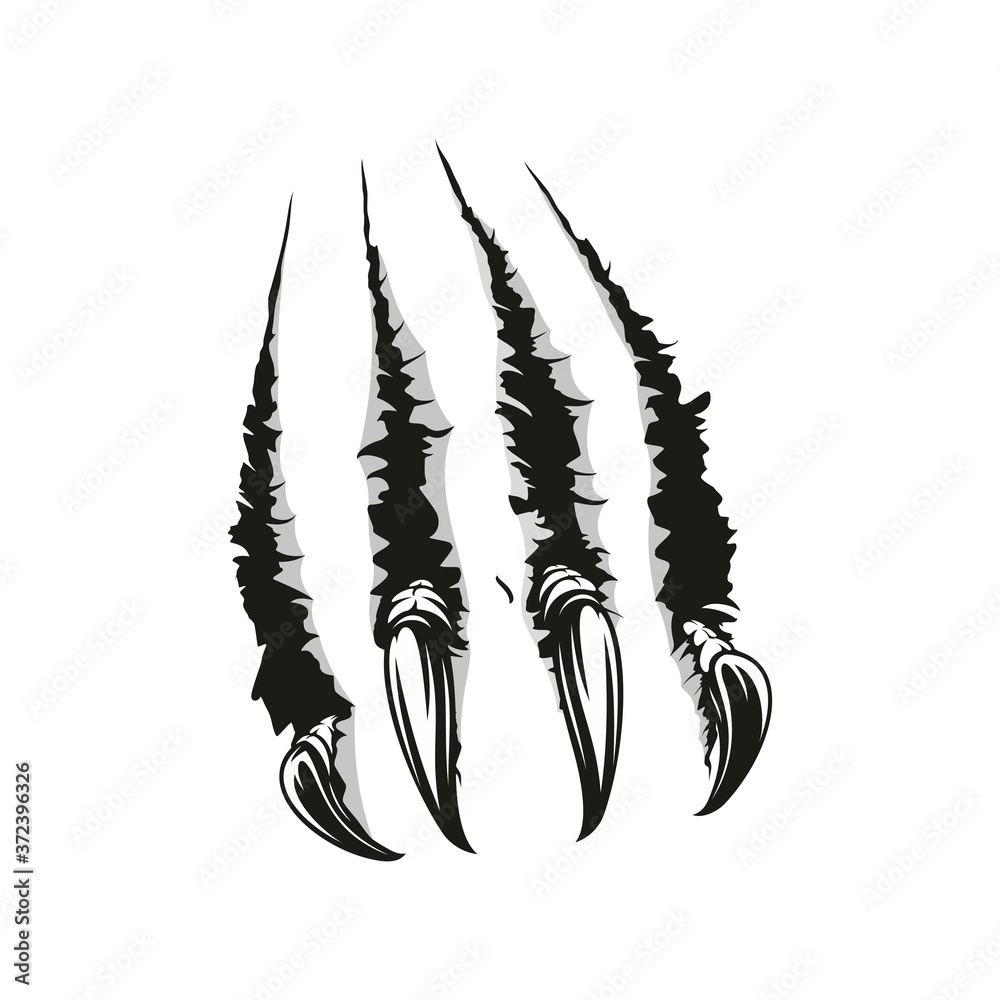 Cat Claw Vector