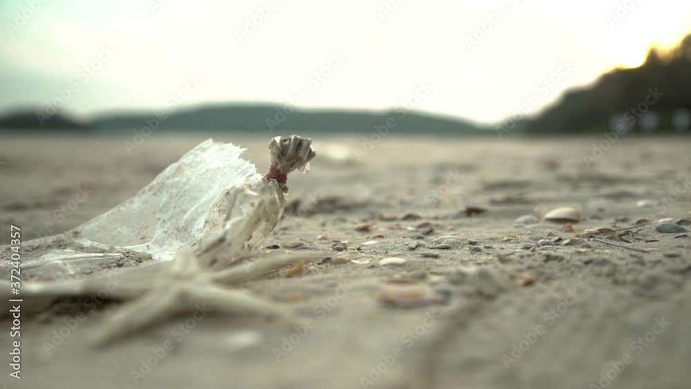 Waste Plastic Bags and Dried Body of a Starfish on the Beach ...