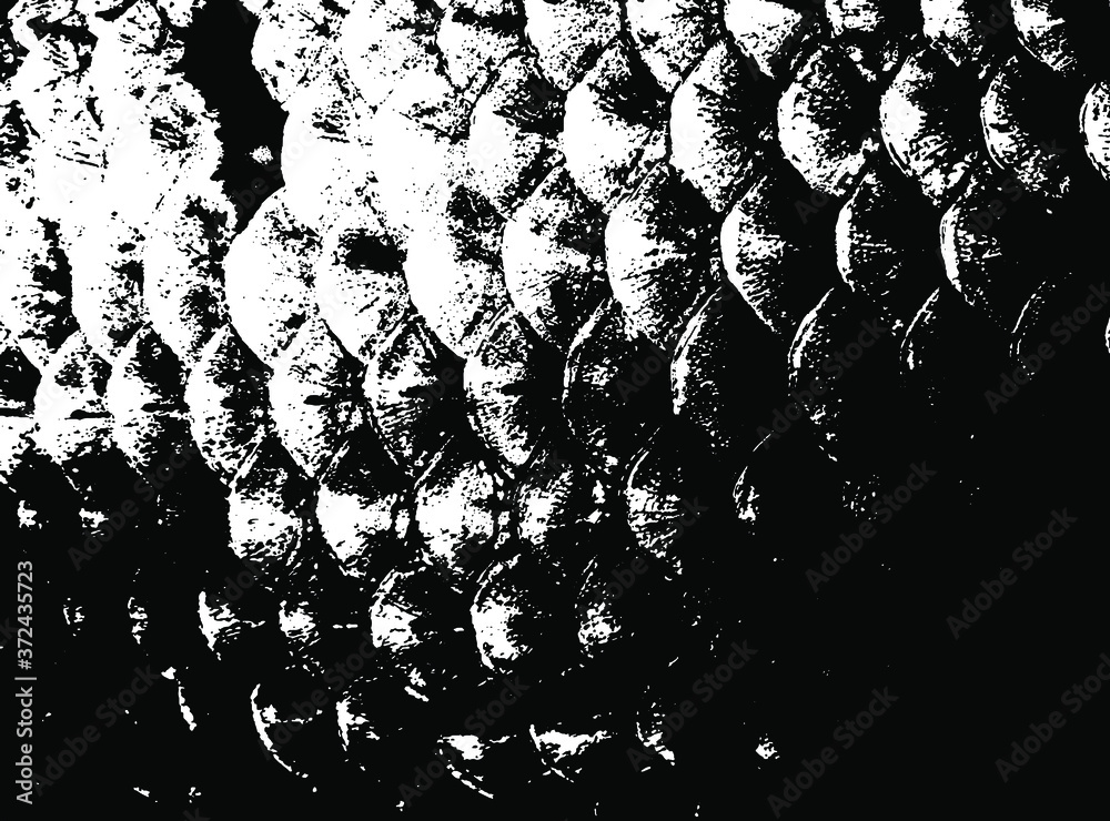 Fish scales texture. Scales background.Grunge texture. Grunge black and ...