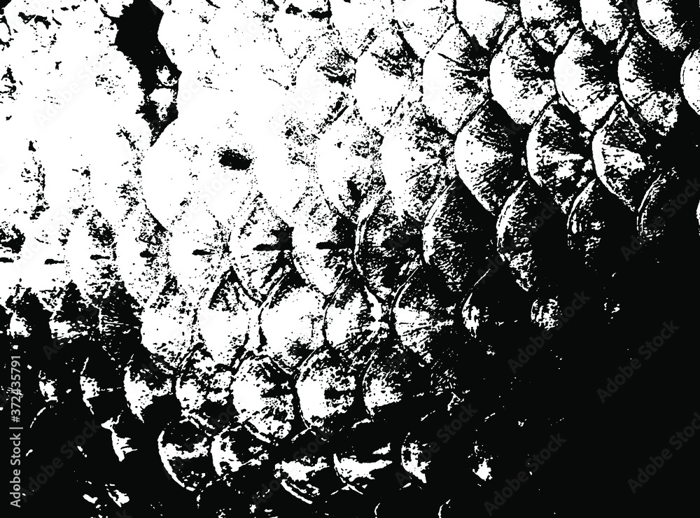 Fish scales texture. Scales background.Grunge texture. Grunge black and ...