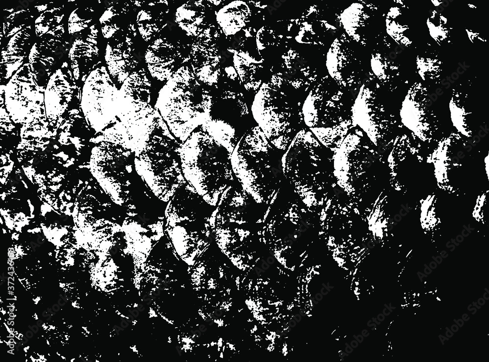 Fish scales texture. Scales background.Grunge texture. Grunge black and ...