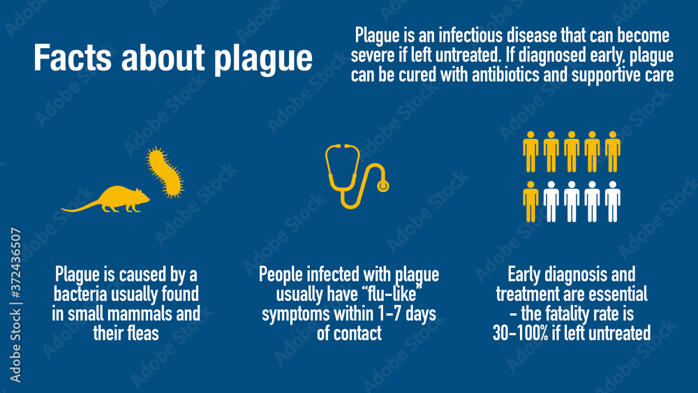 Poster Infographic with facts about plague – Wall Art | UkPosters