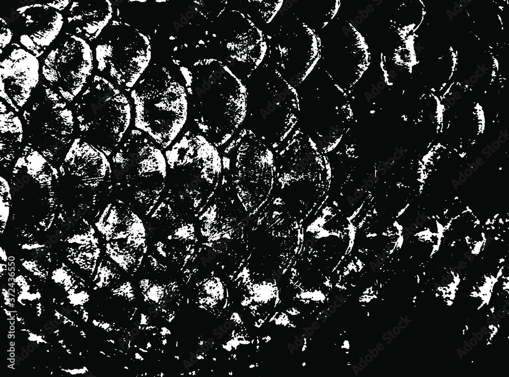 Fish scales texture. Scales background.Grunge texture. Grunge black and ...