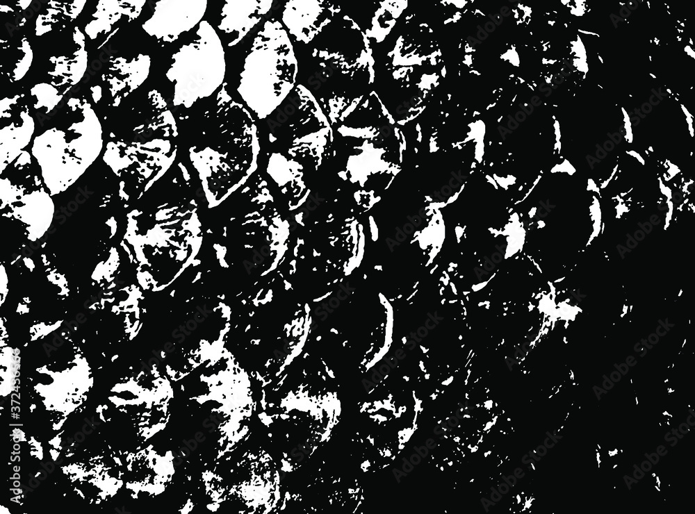 Fish scales texture. Scales background.Grunge texture. Grunge black and ...