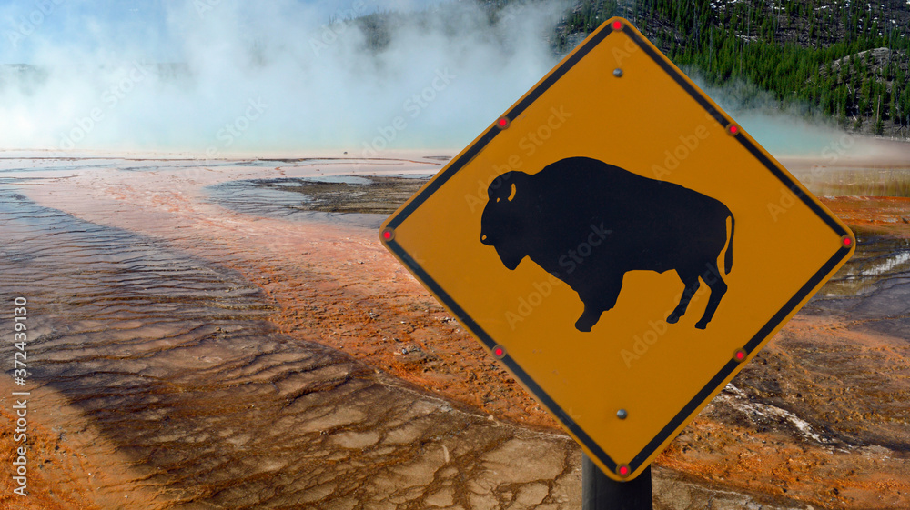 Bison warning sign in Yellowstone National Park Stock Photo | Adobe Stock