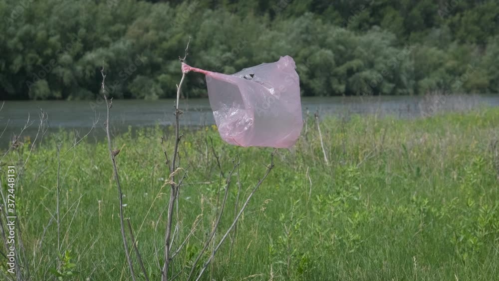 Plastic bag on the field. A plastic bag develops in the wind in nature ...