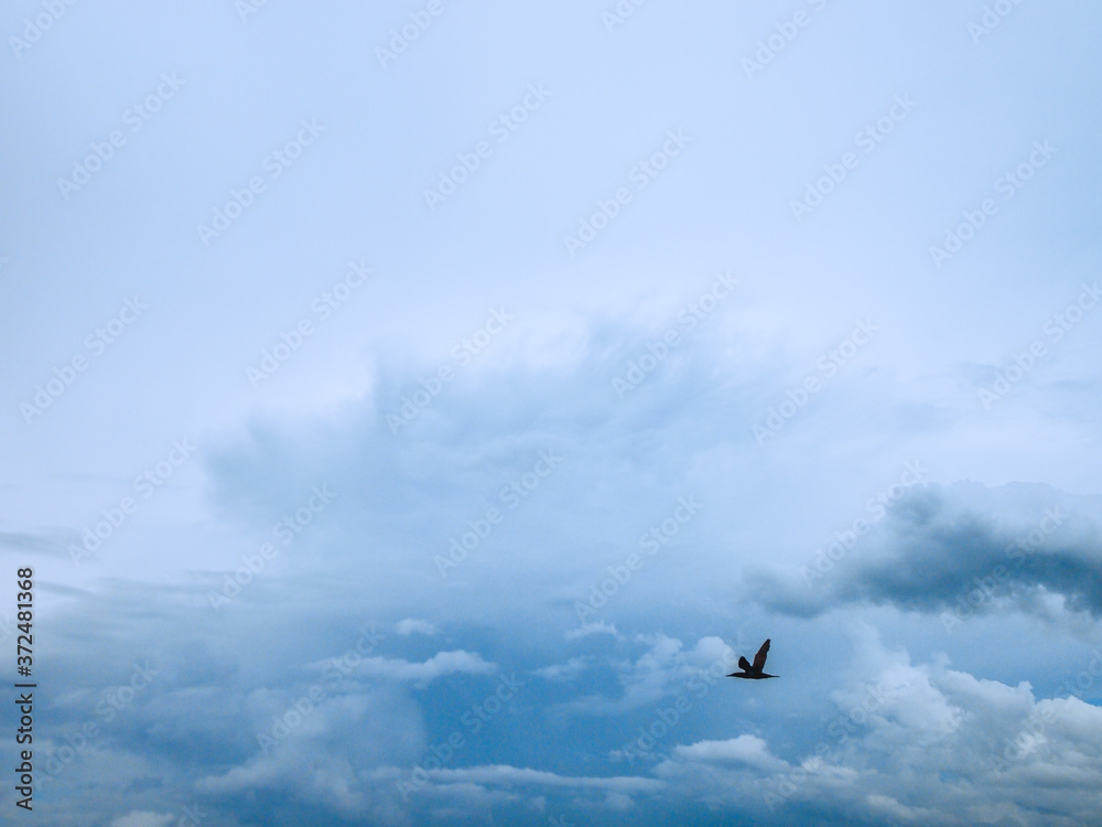 Tubbata Reefs Natural Park (UNESCO Heritage Site) in the Philippines ...