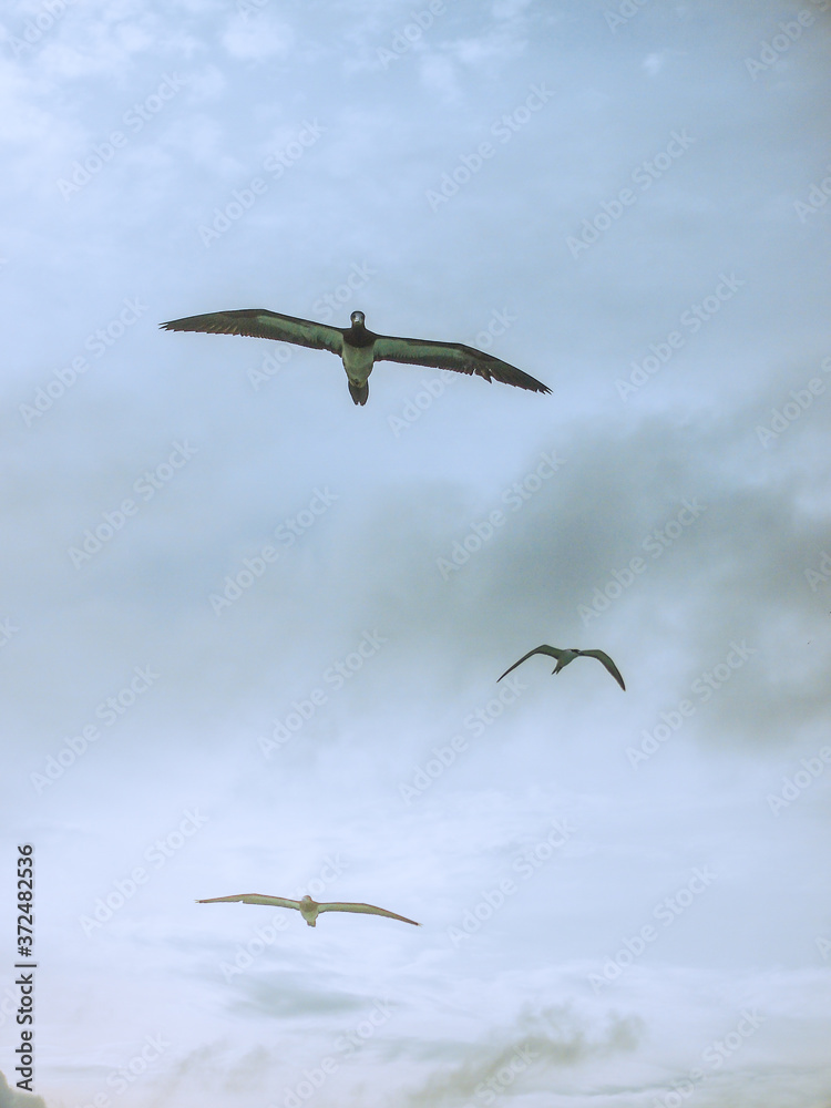 Tubbata Reefs Natural Park (UNESCO Heritage Site) in the Philippines ...