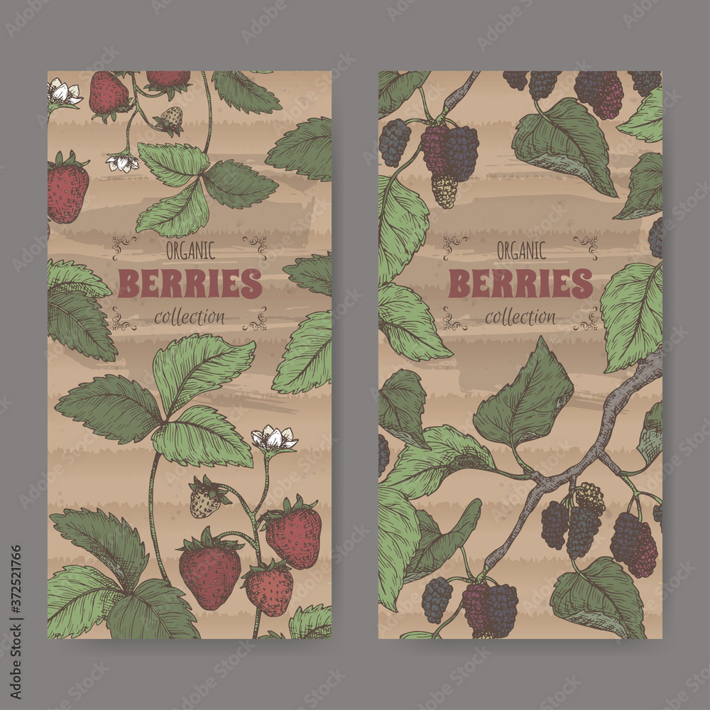 Two labels with garden strawberry aka Fragaria ananassa and Black ...