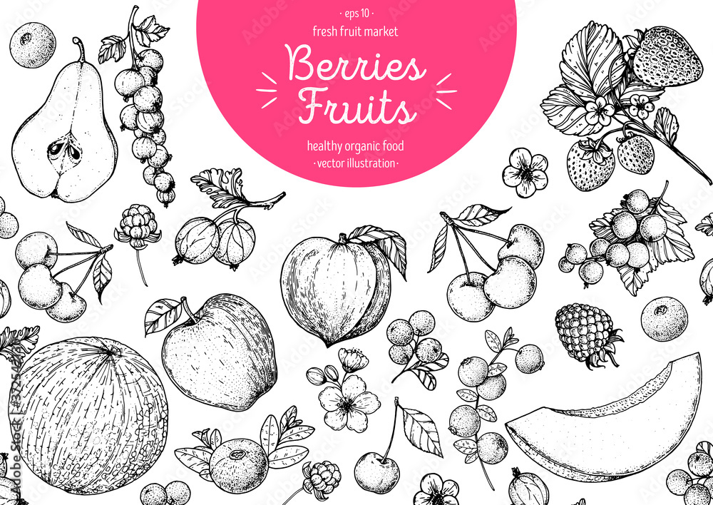 Berries and fruits drawing collection. Hand drawn berry sketch. Vector ...