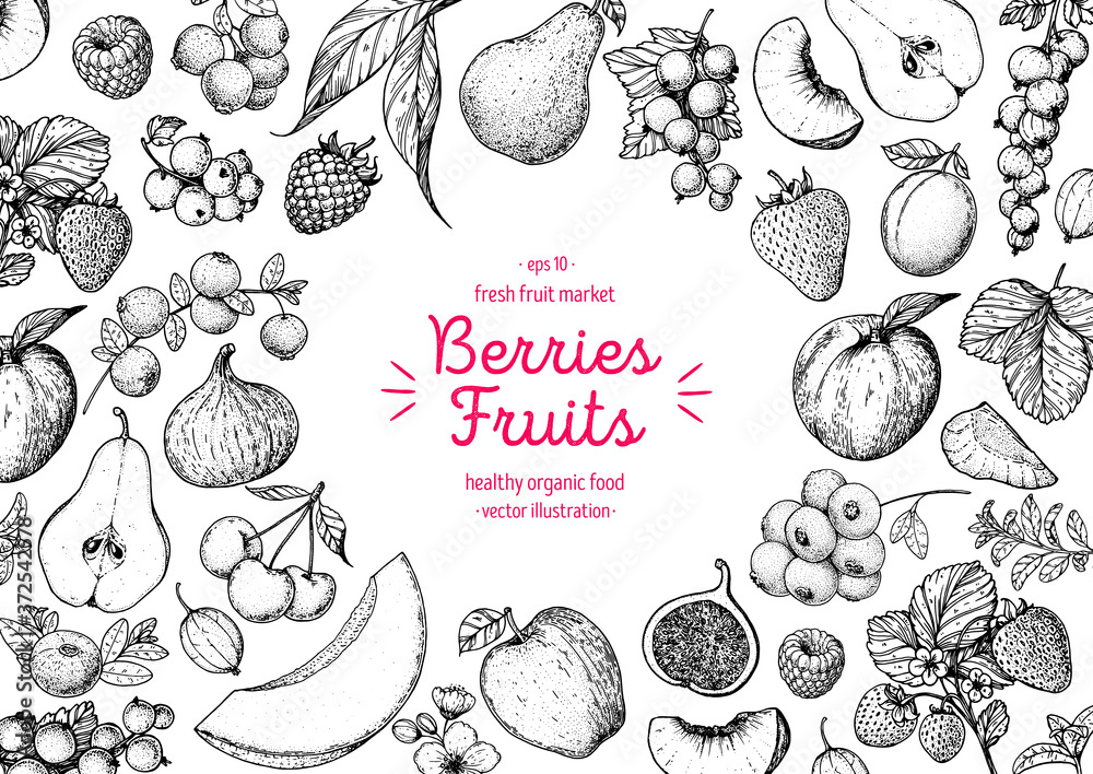 Berries and fruits drawing collection. Hand drawn berry sketch. Vector ...