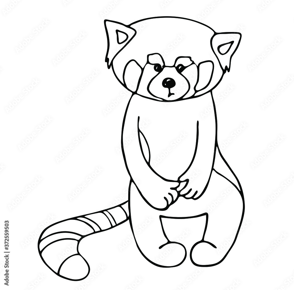 A cute confused red Panda stands on its hind legs .Outline drawing by ...
